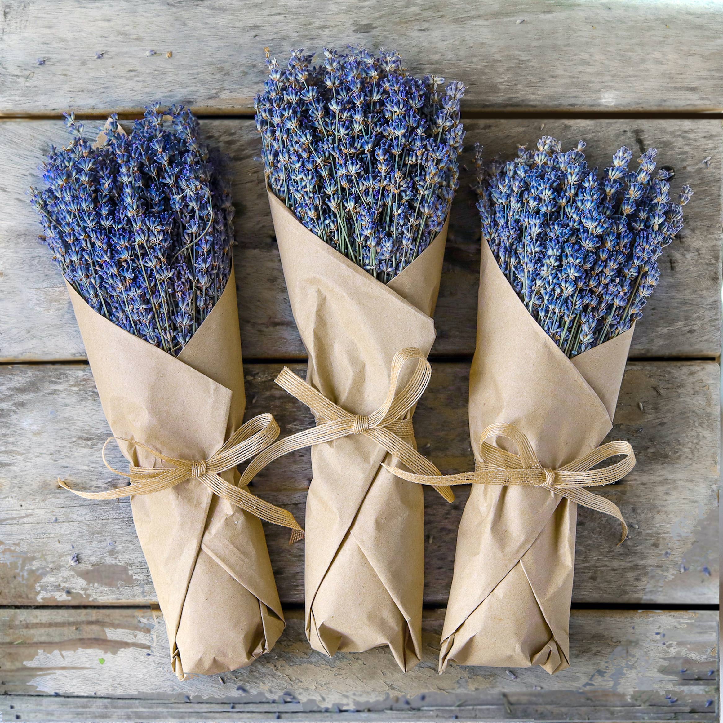 Dried Lavender Bouquets – Architectural Heritage